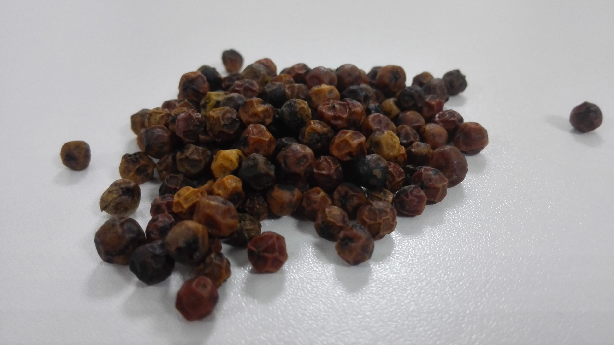 Roter Kampot Pfeffer (echter roter Pfeffer) - Picasso Kulinarisch